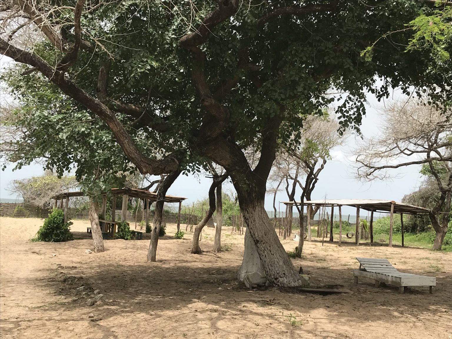 Jinack Island - DIBBA Gambia Safari