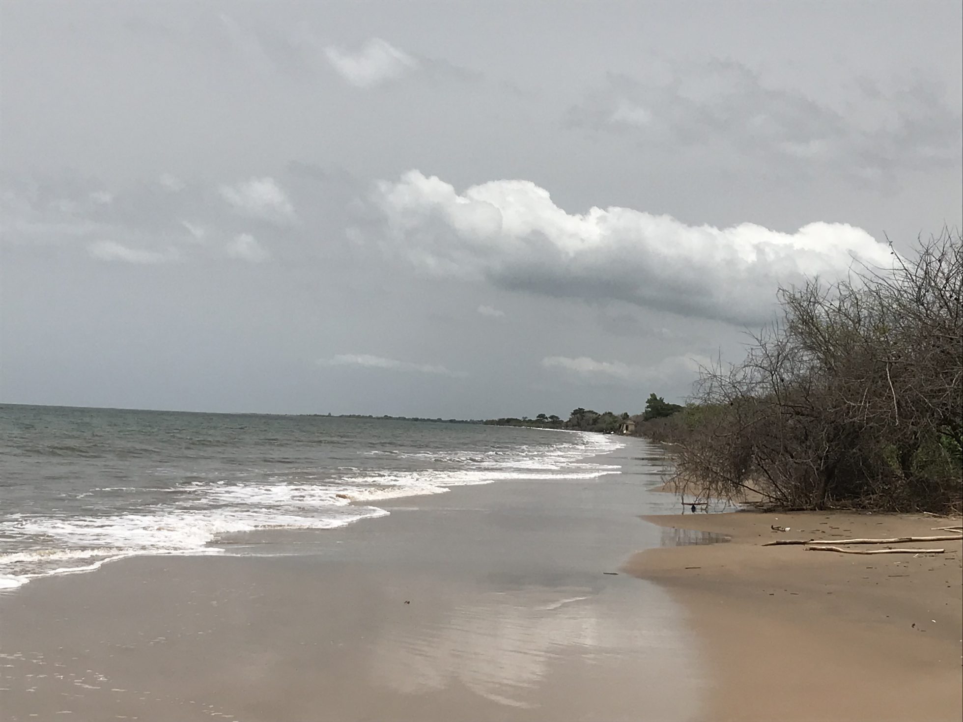 Jinack Island - DIBBA Gambia Safari